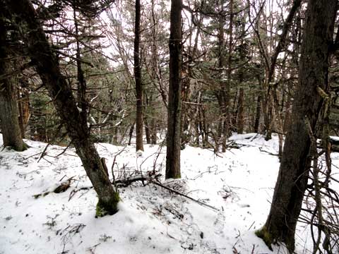 Hiking North Dome & Sherrill Mountain