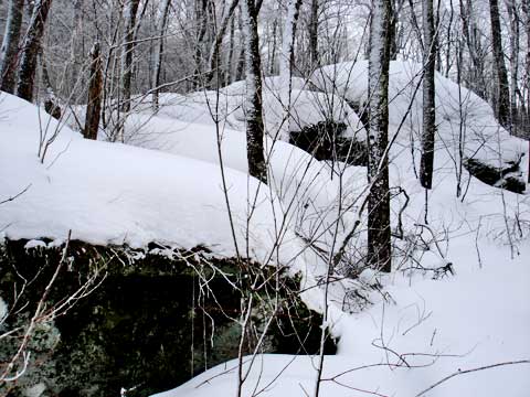 Hiking Mount Sherrill