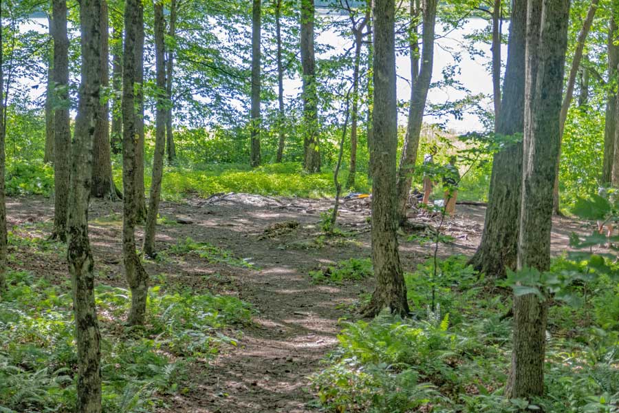 Hike to Alder Lake Loop