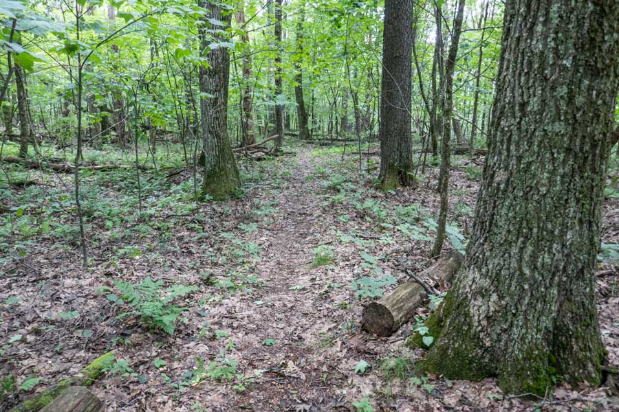 Hike the Dry Brook - German Hollow Loop