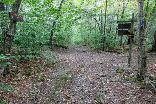 Hike Plateau Mountain in the Catskill Mountains