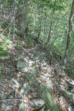 Hike Plateau Mountain in the Catskill Mountains