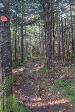 Hike Plateau Mountain in the Catskill Mountains