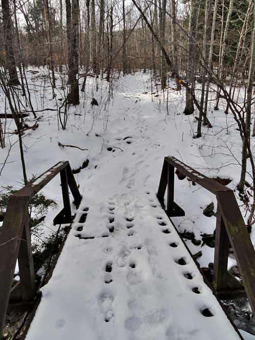 Yankee Smith Trail - Catskillmountaineer.com Forum